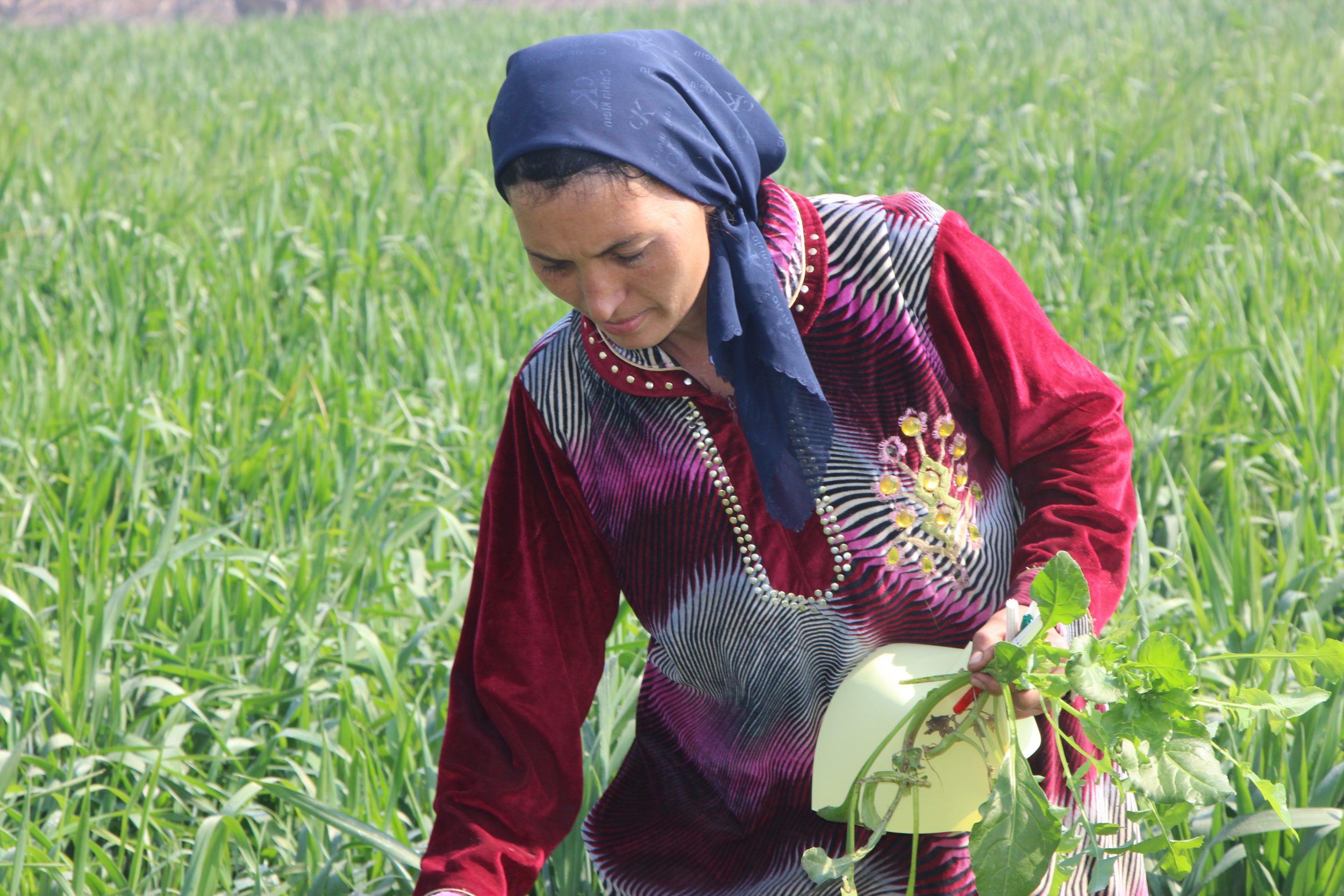 International Women's Day - Dorcas