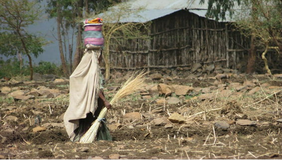 Relief aid for drought in Ethiopia - Dorcas
