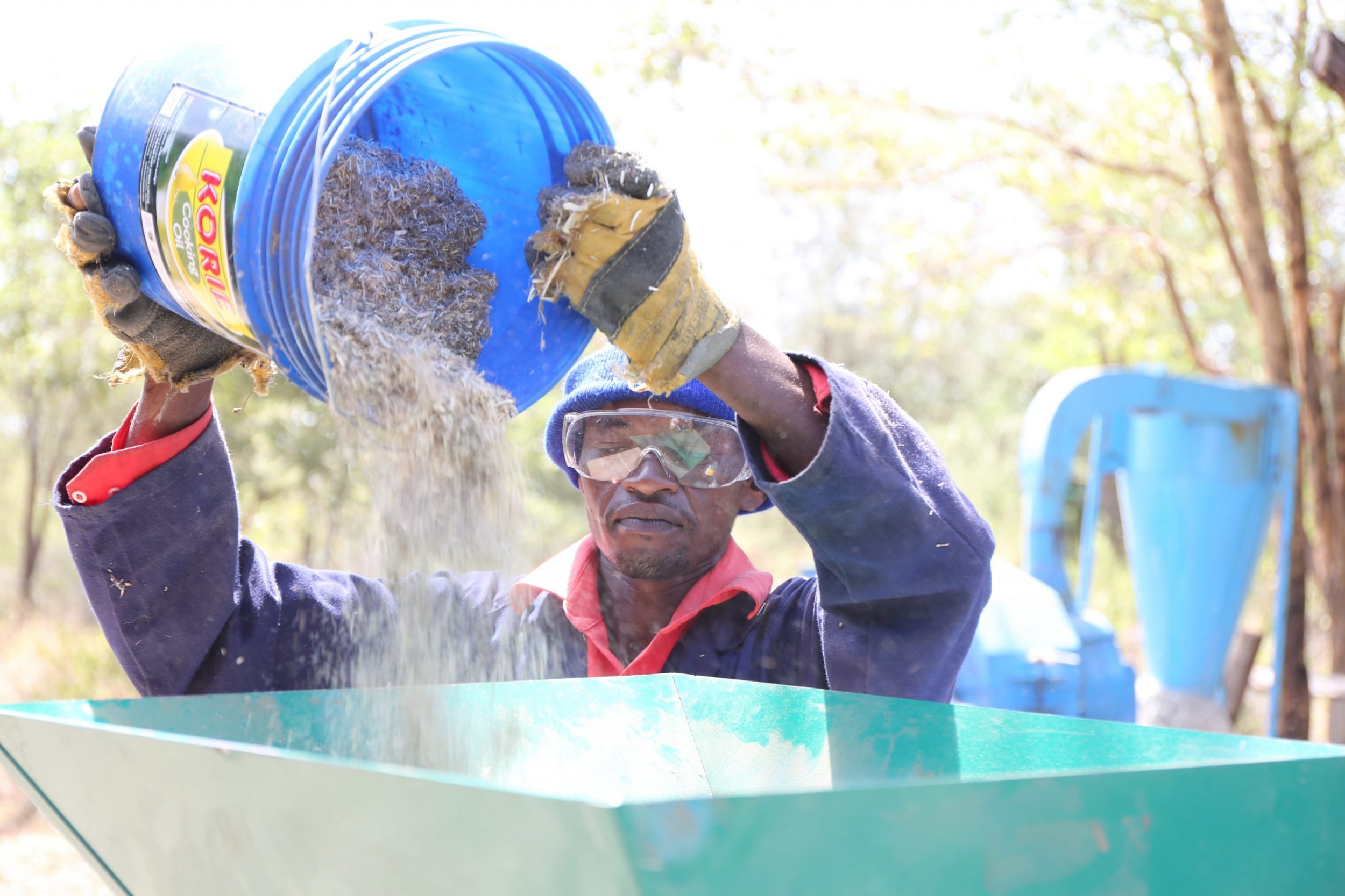 Cooking for a stronger planet - Dorcas