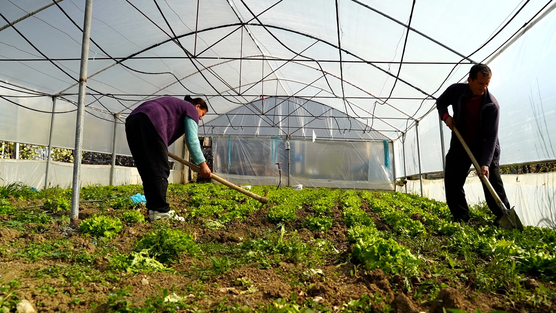 Press release: Dorcas and Kom over en help launch investment company SharInvest - Dorcas