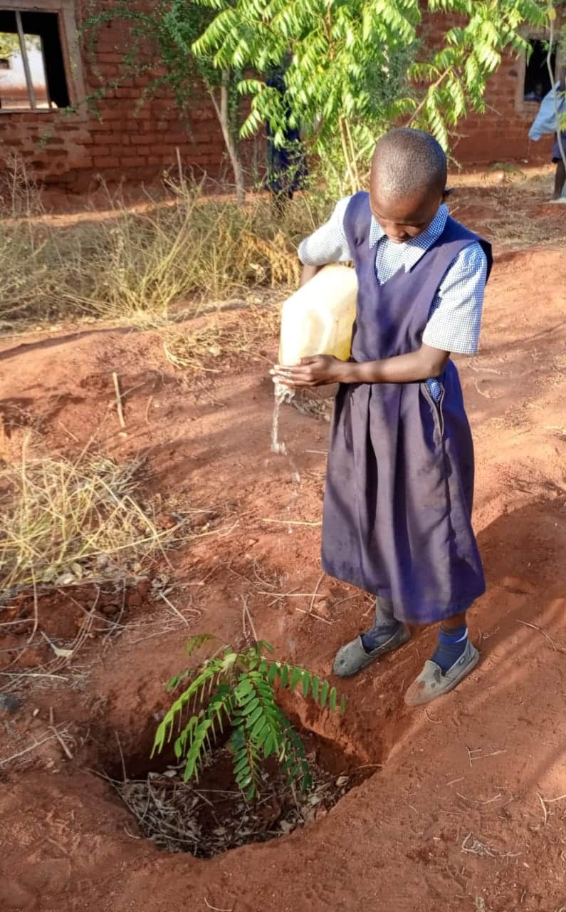 Building climate resilience in Kitui County with Dorcas Kenya’s ...